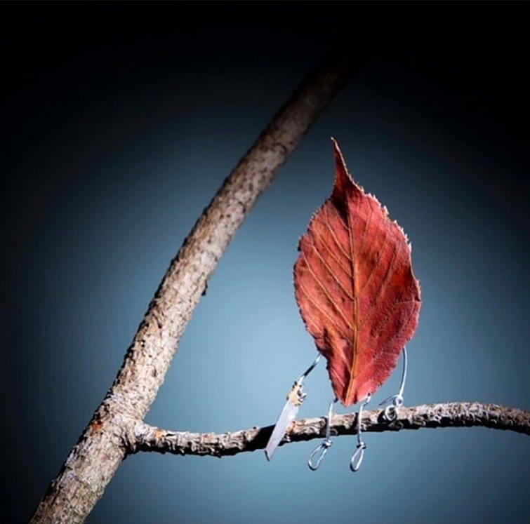 Начална страница | Moodle NBU