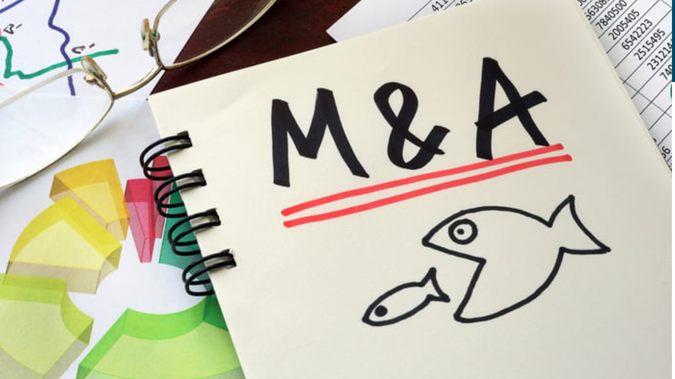 MBAM948 | Moodle NBU